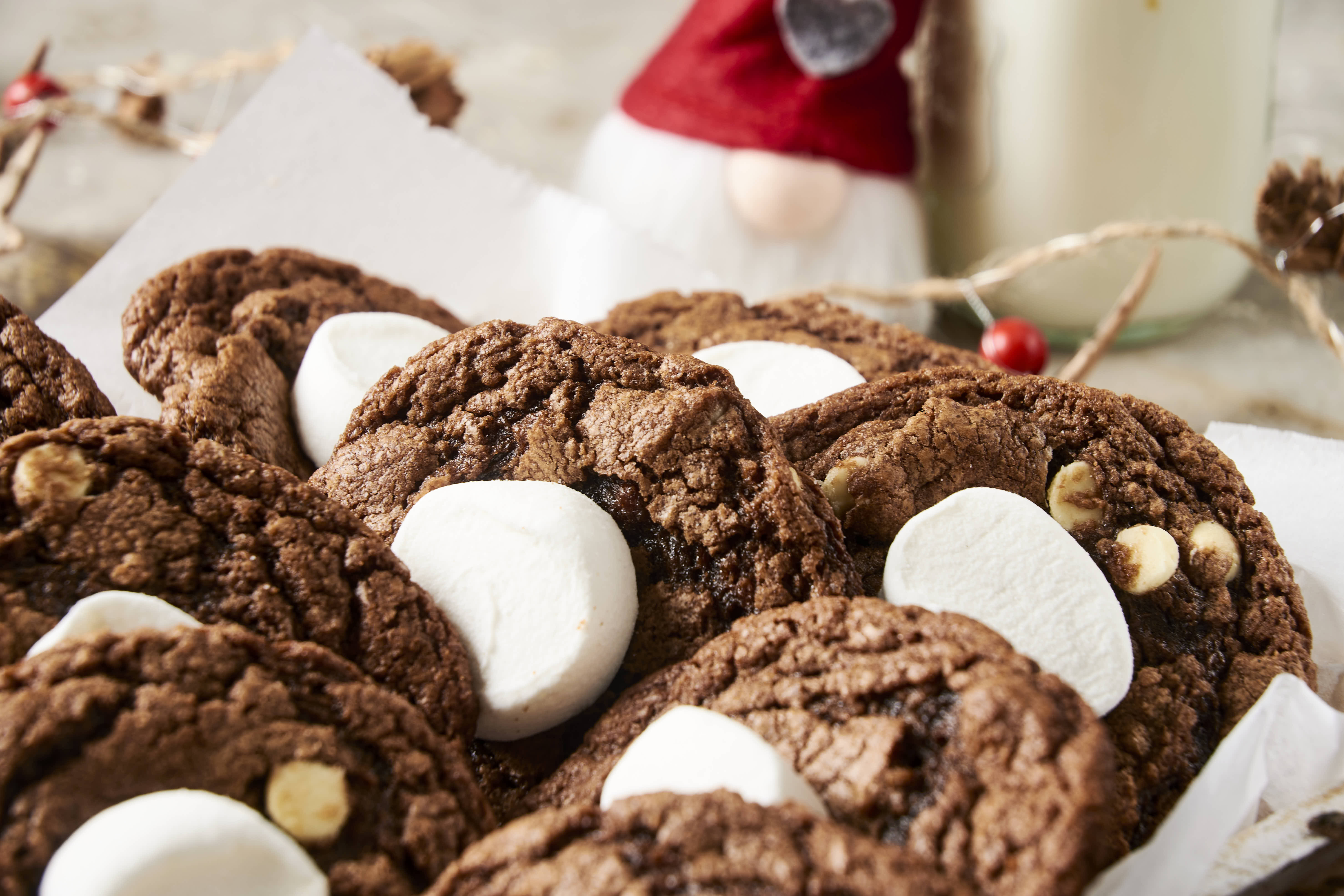 Santa's Favorite Cookies