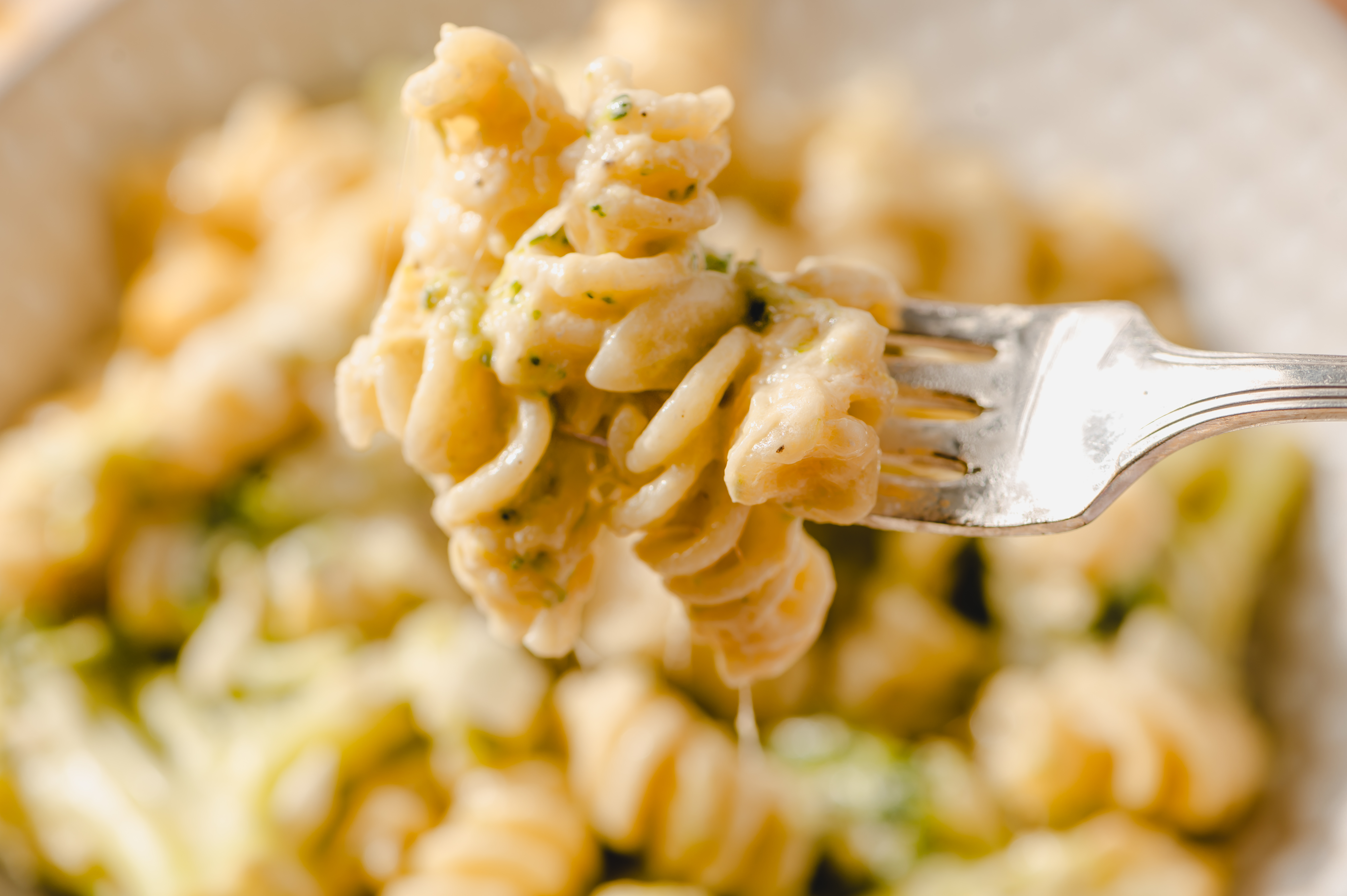 One-Pot Cheesy Pasta