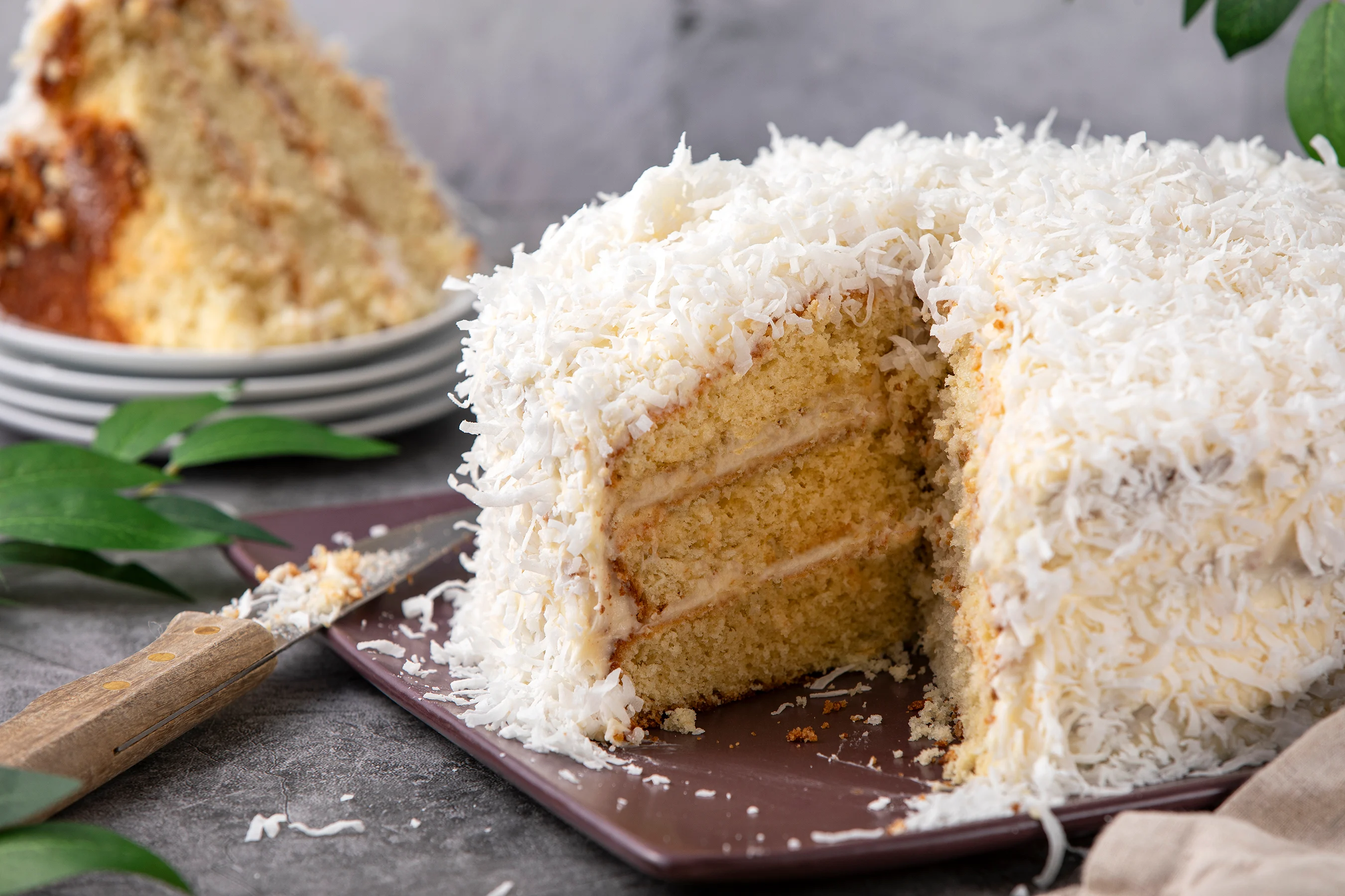 Coconut Cloud Cake