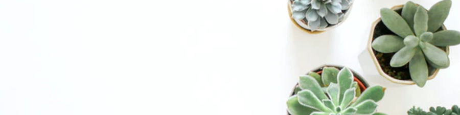 LinkedIn Background Photos for Every Industry (2021) | ZipJob