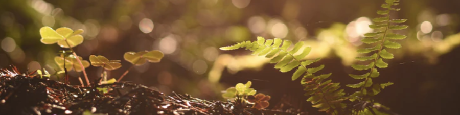 LinkedIn Background Photos for Every Industry (2021) | ZipJob