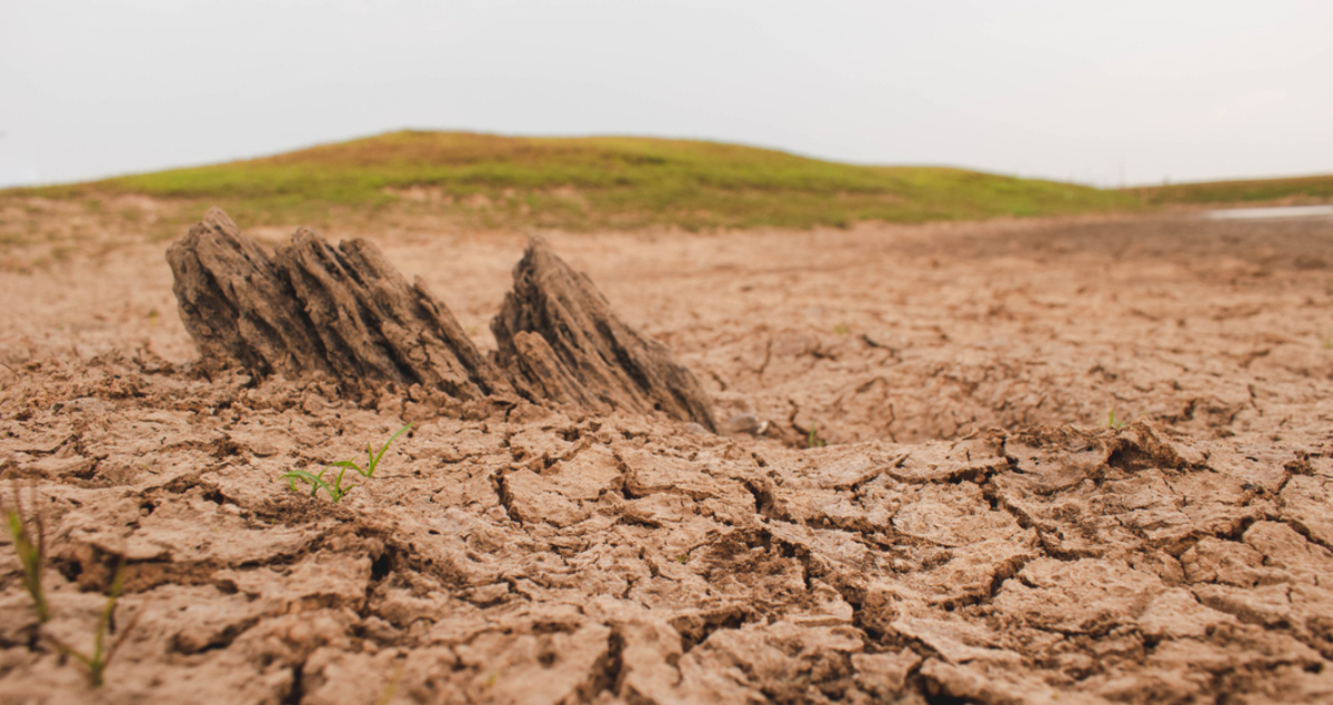 What is the Energy Transition and why does it matter? | Spectra