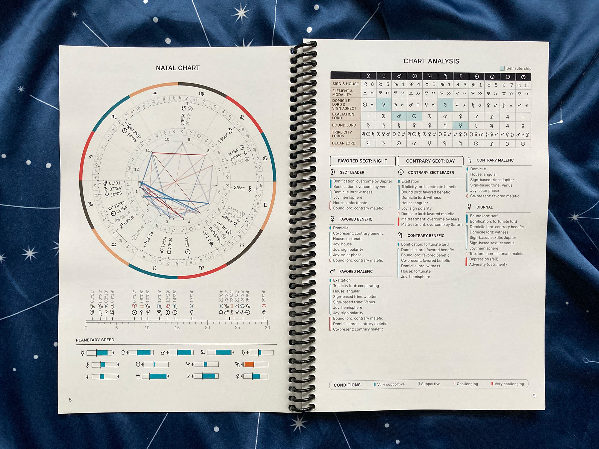 Zodiac planner 60 photos - Astrologytoyou.com