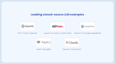 Open-Source LLMs vs Closed-Source LLMs: Key Differences in 2025 | Yellow