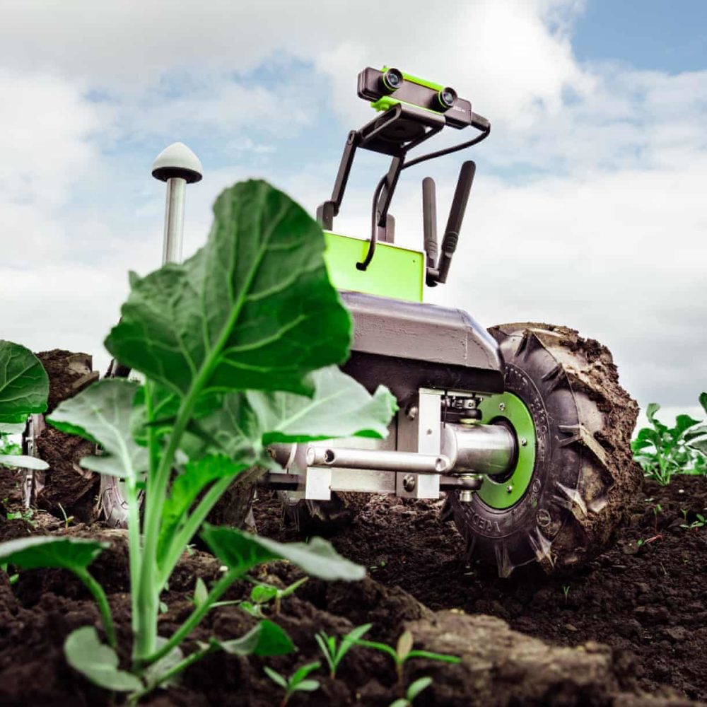 Food Manufacturer Uses Agritech to Improve Crop Yield | Litmus ...