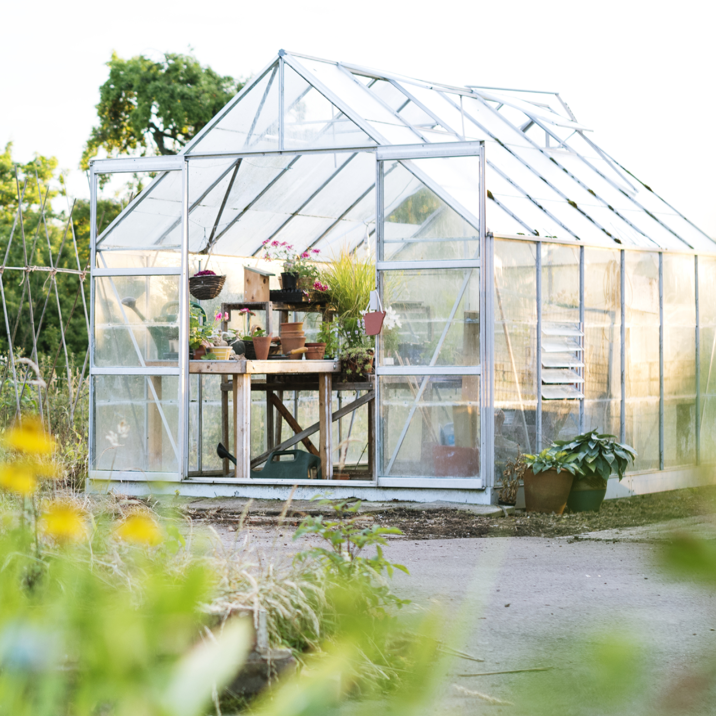 Drivhus | 50+ udendørs store og små drivhuse til enhver smag