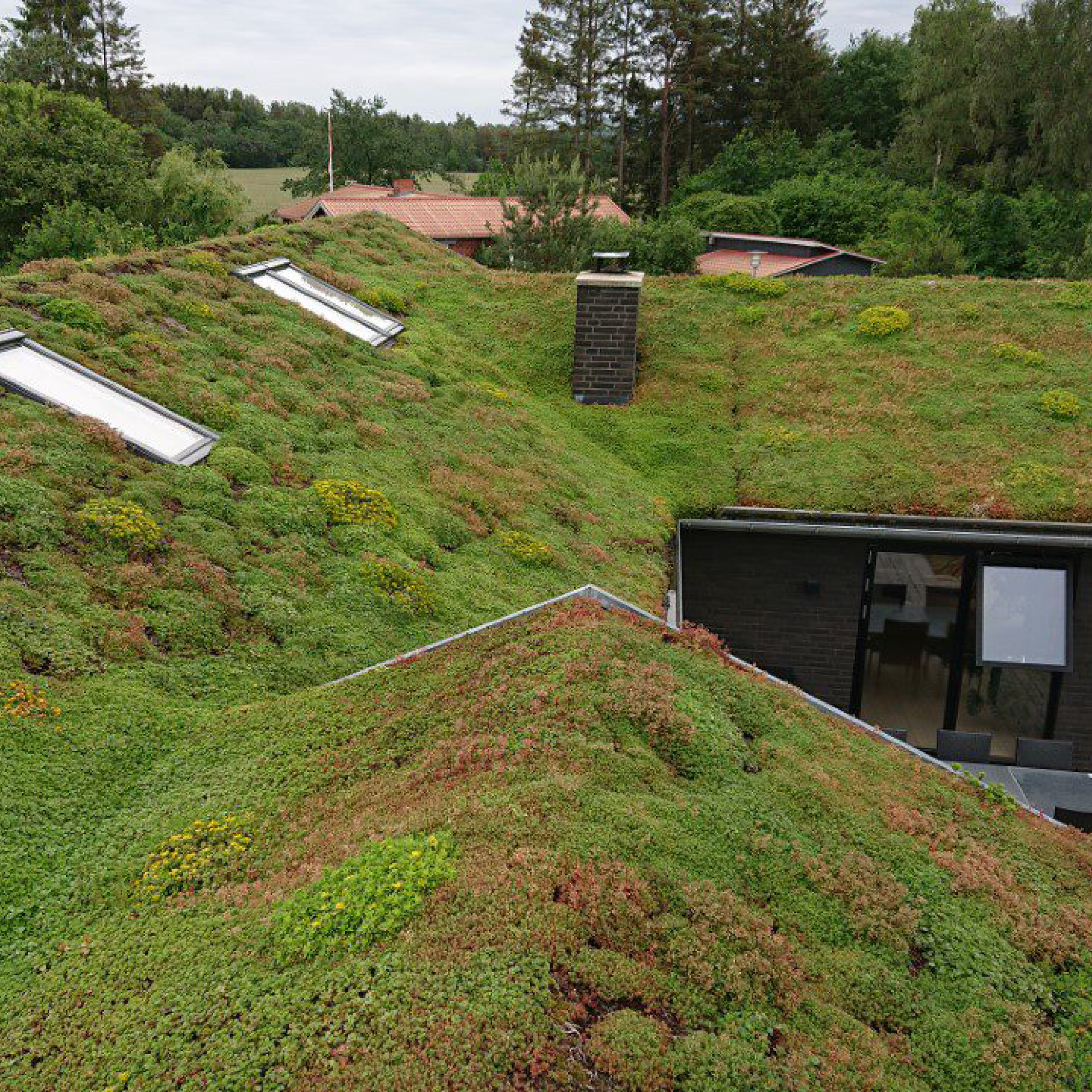 Sedumtage er det naturlige valg | XL-BYG