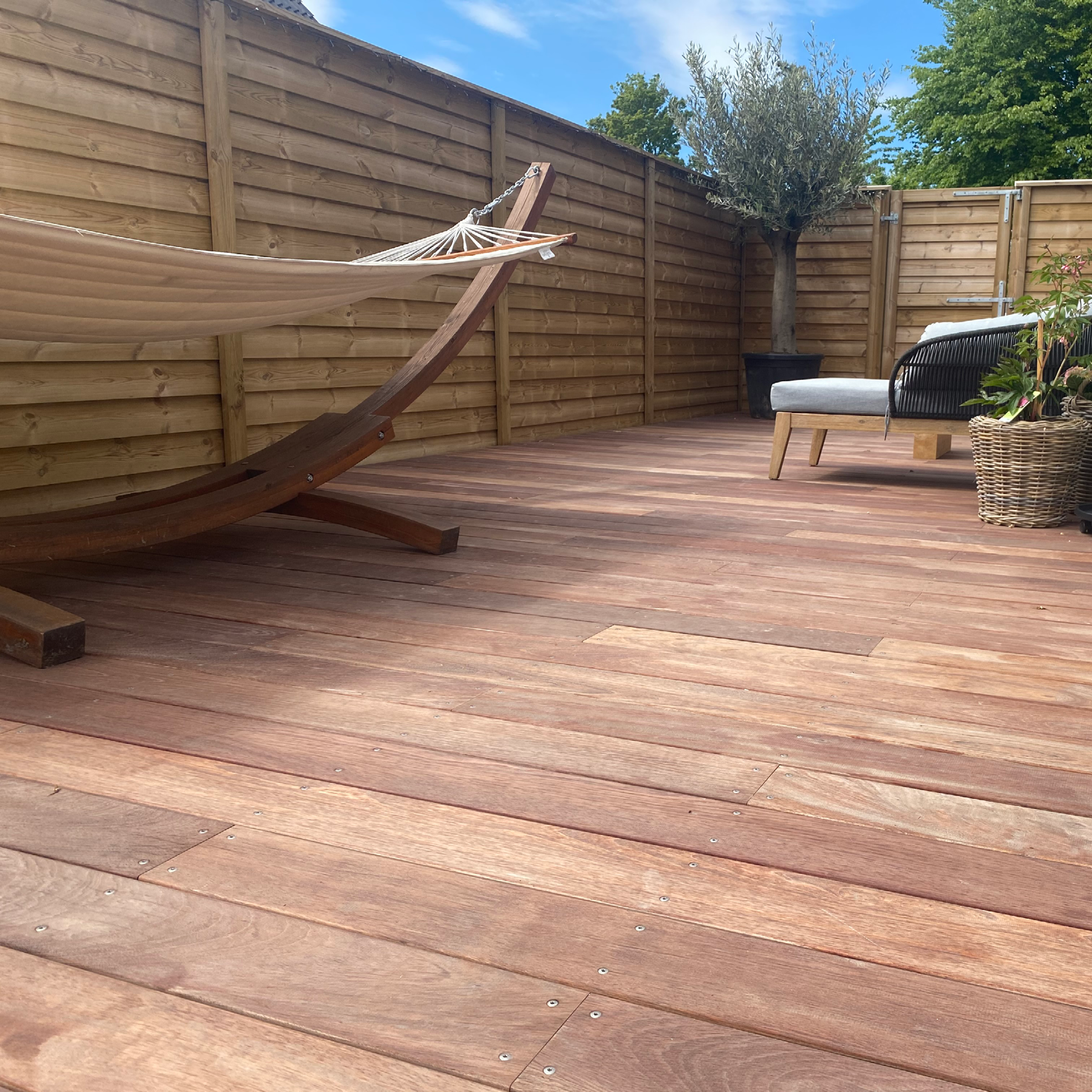 Global Timber har fokus på bæredygtighed