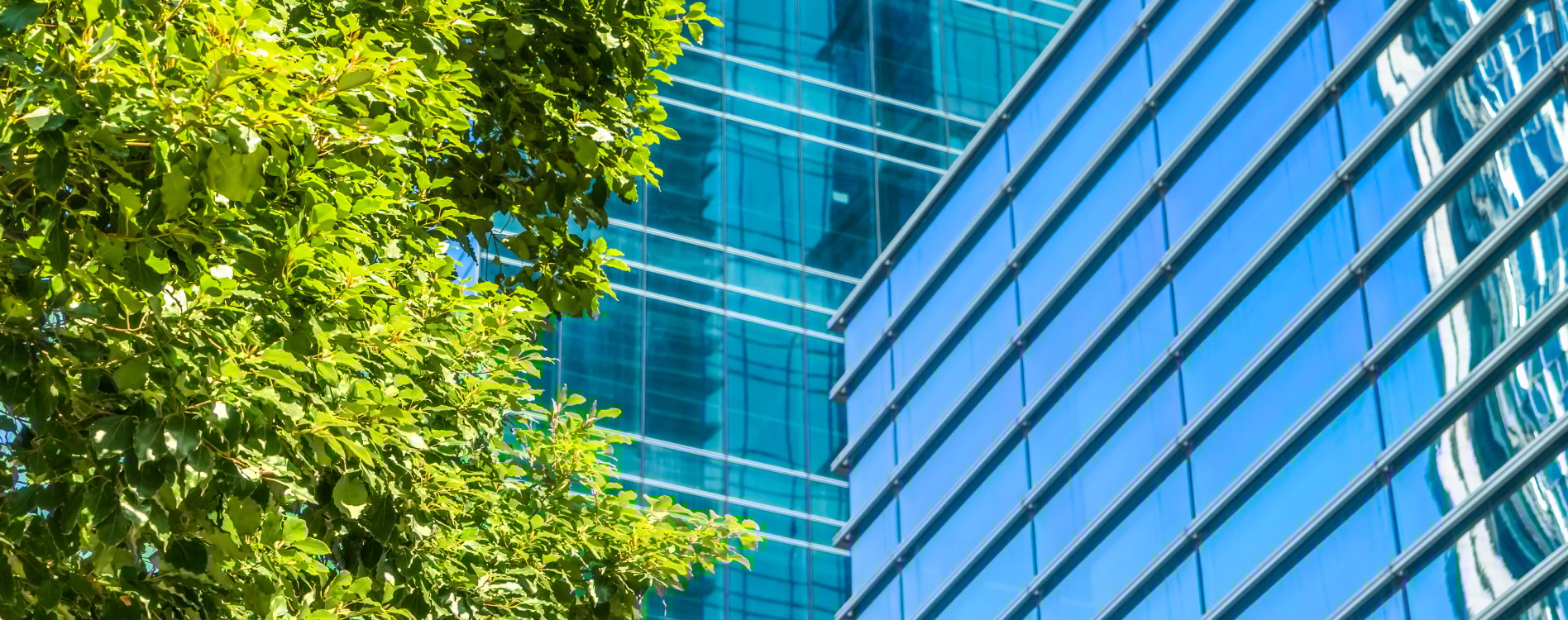 The 2nd Annual ESG and Decarbonising Real Estate Forum