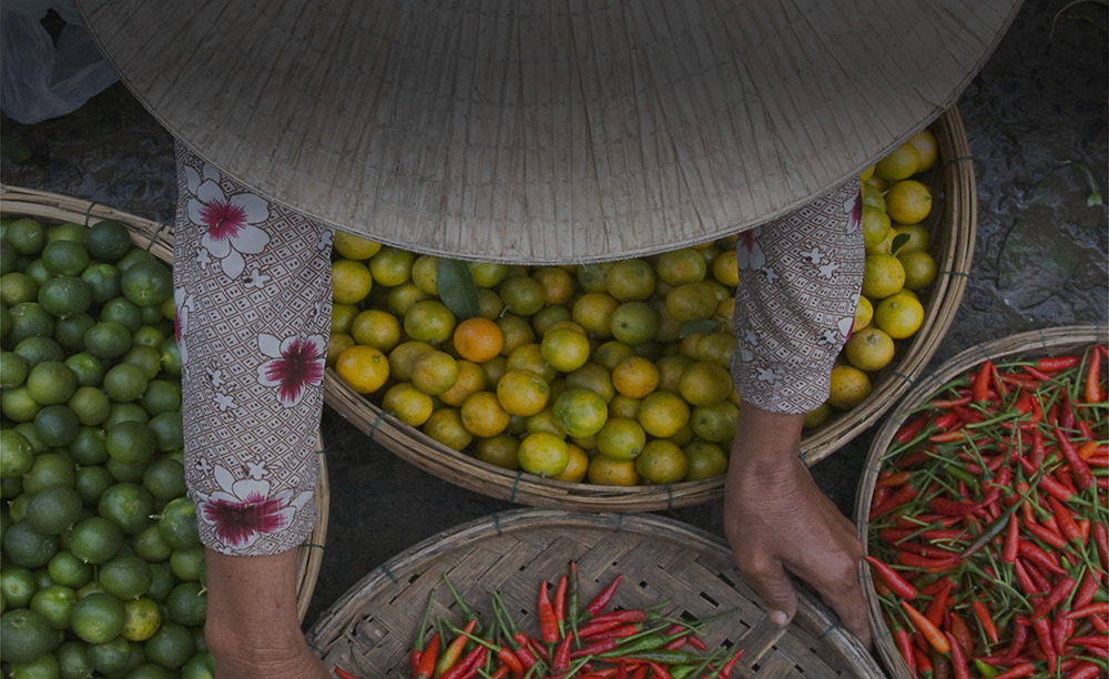 ISS and Coolfood Launch New Low-Carbon Food Initiative