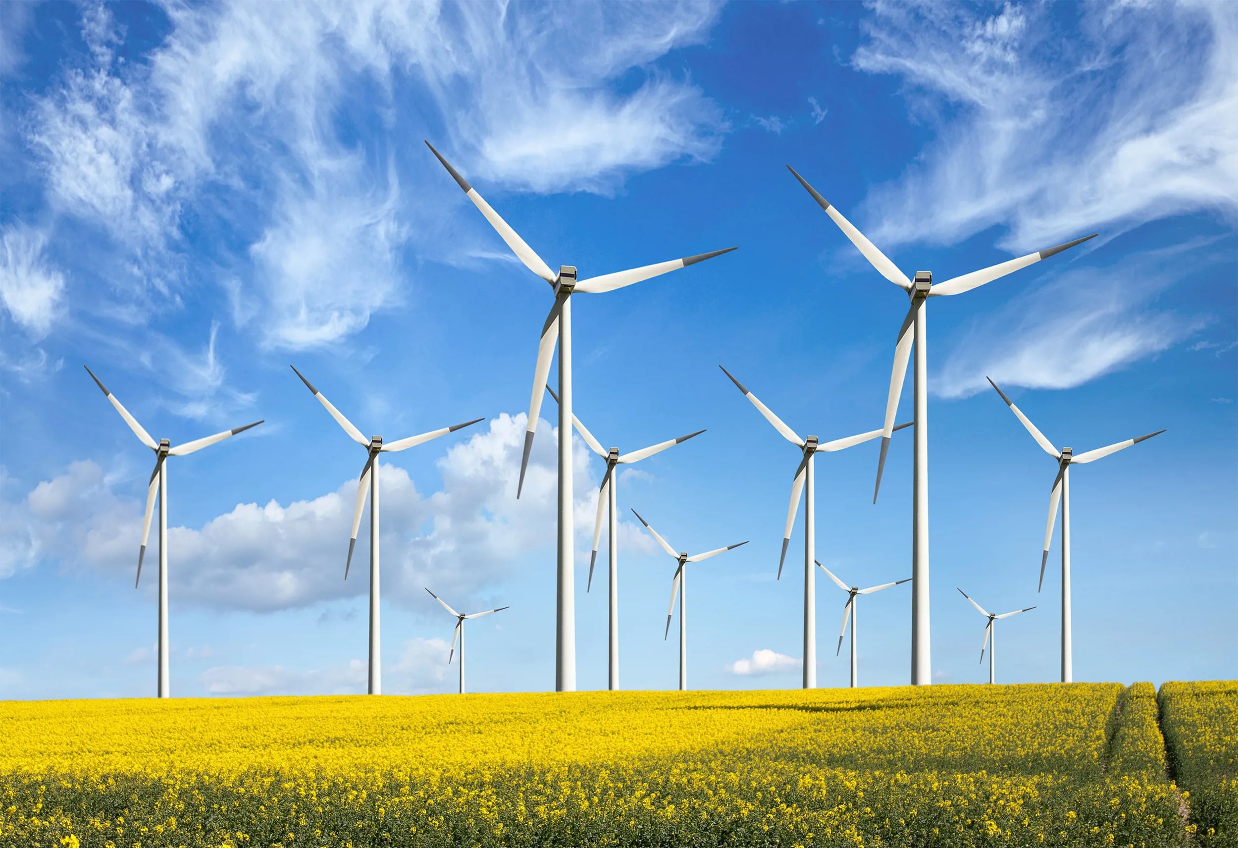 Net Zero Week UK 2025- Online Event in UK