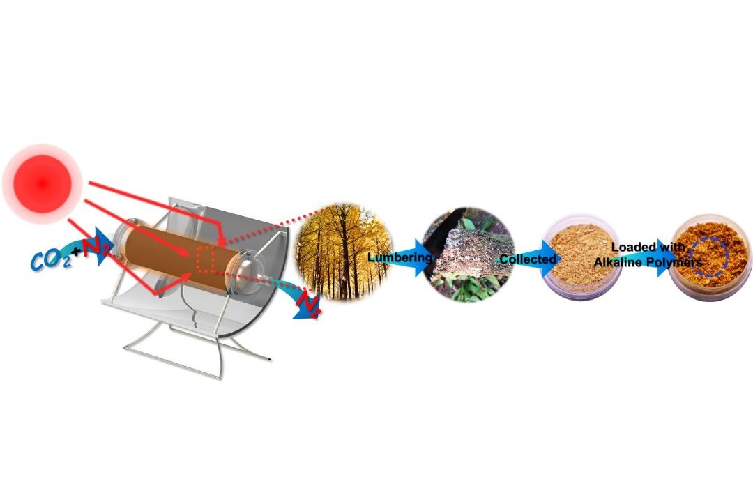 Scientists utilise modified sawdust and sunshine to reversibly trap ...