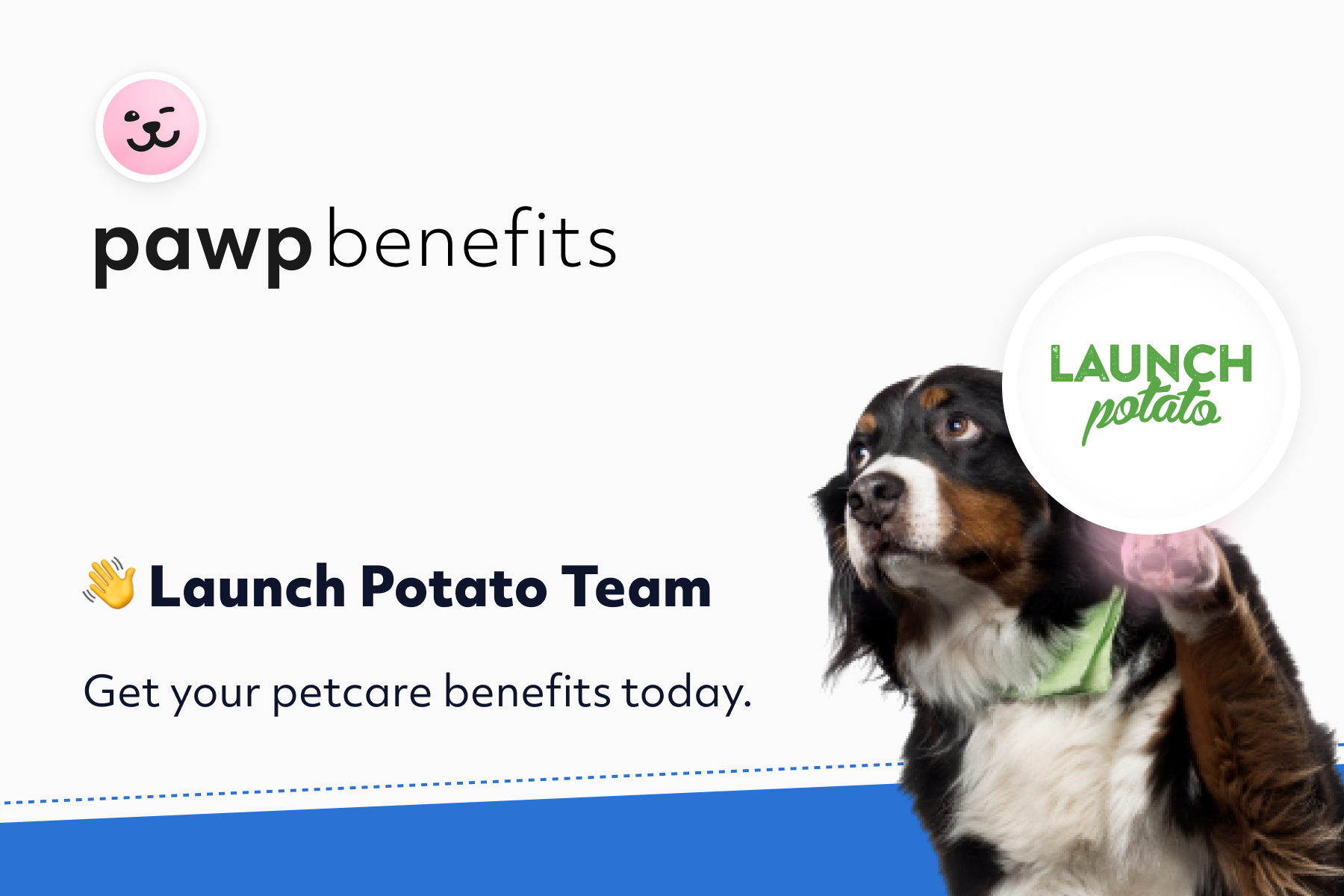Pawp | The Digital Health Clinic For Your Pet