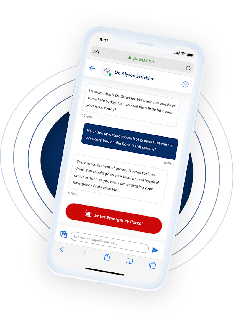 Pawp | The Digital Health Clinic For Your Pet