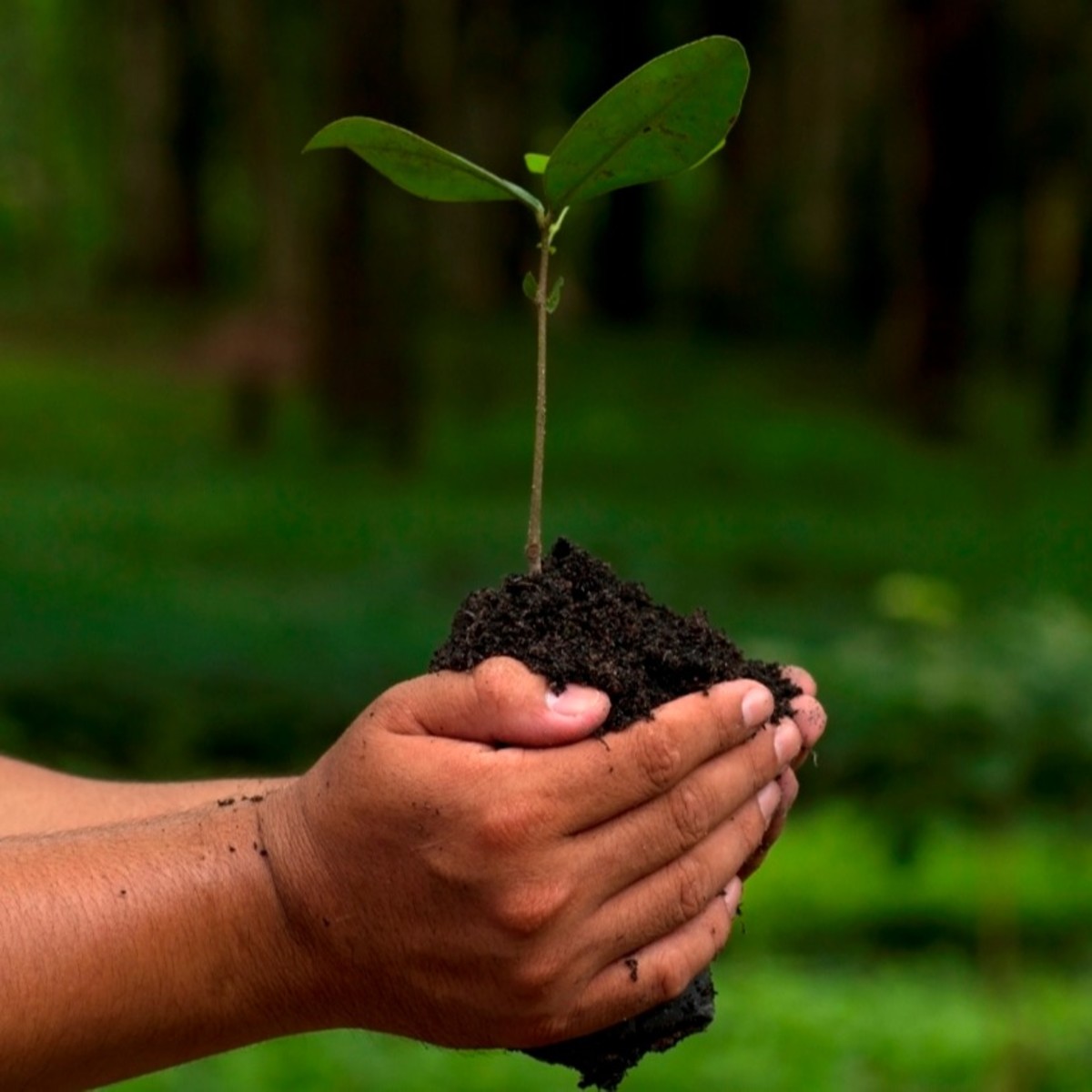 11 Facts About Earth Day DoSomething 11-facts-about-earth-day-dosomething