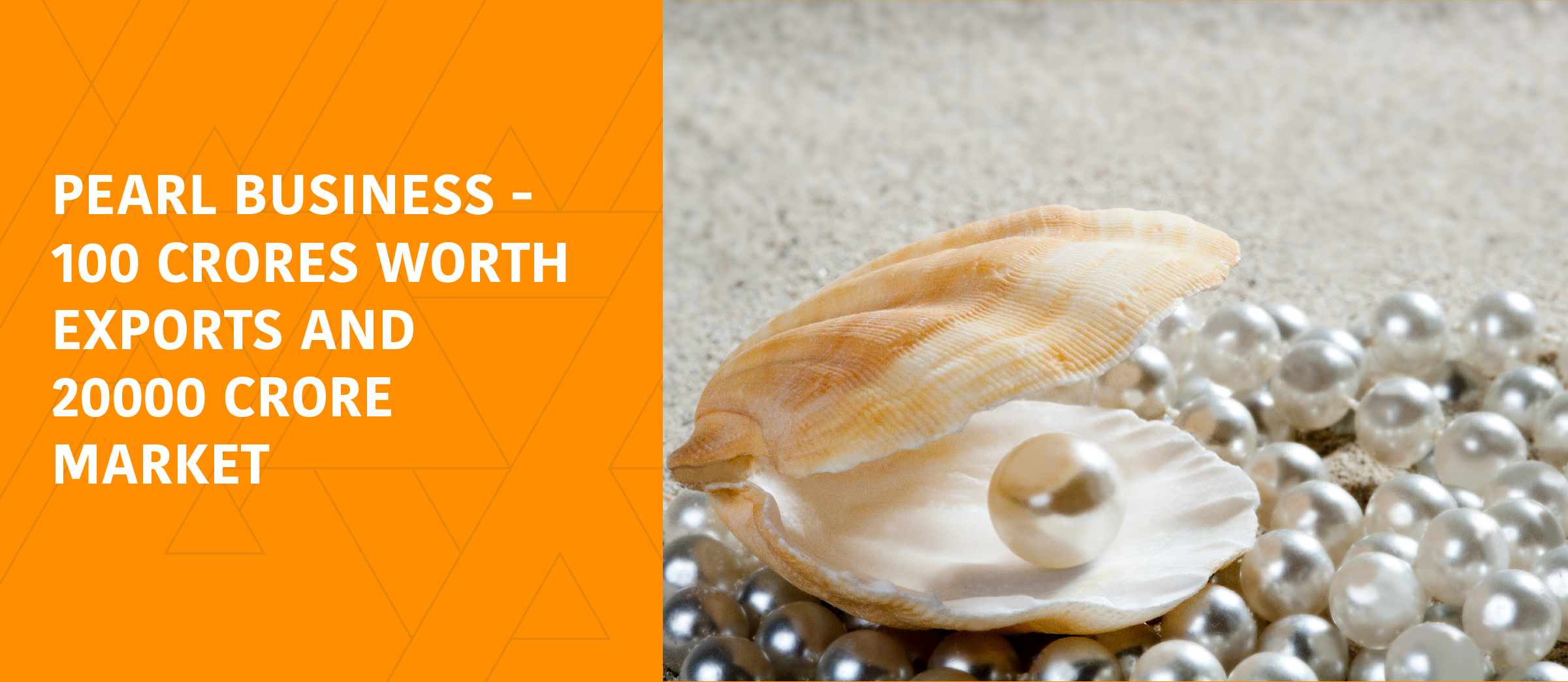 Pearl farming is a golden opportunity to earn in lakhs! | यशस्वी उद्योजक