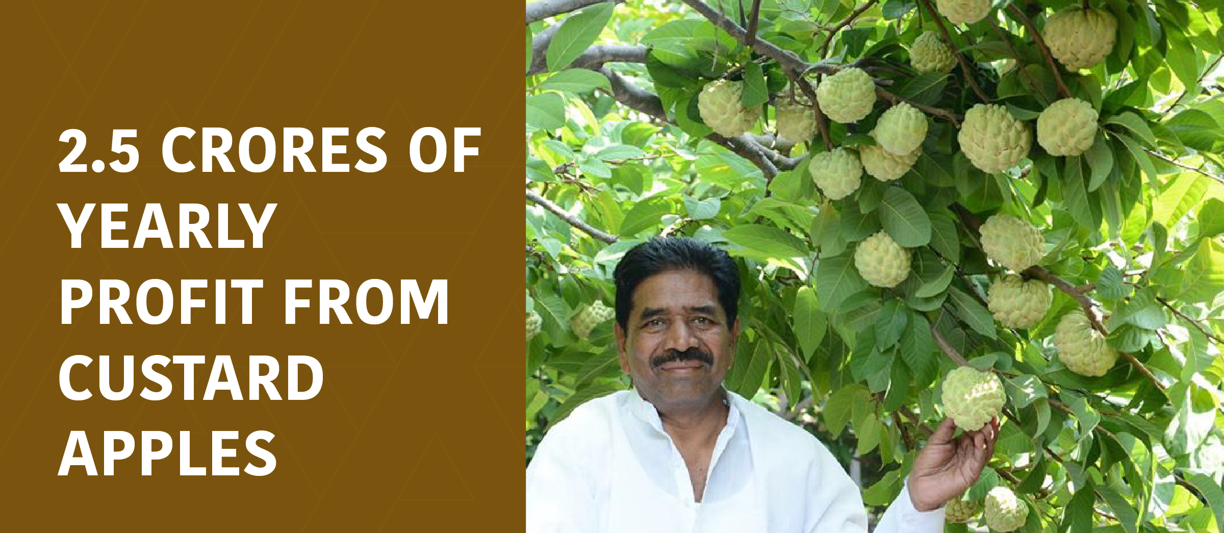 ‘Sitaphal king’ Navnath Kaspate’s successful business in Barshi ...