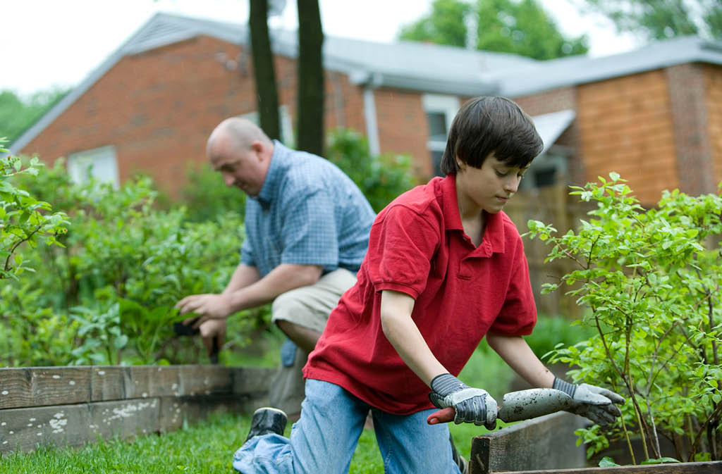 Bob Evans | Tips for Building a Garden at Home