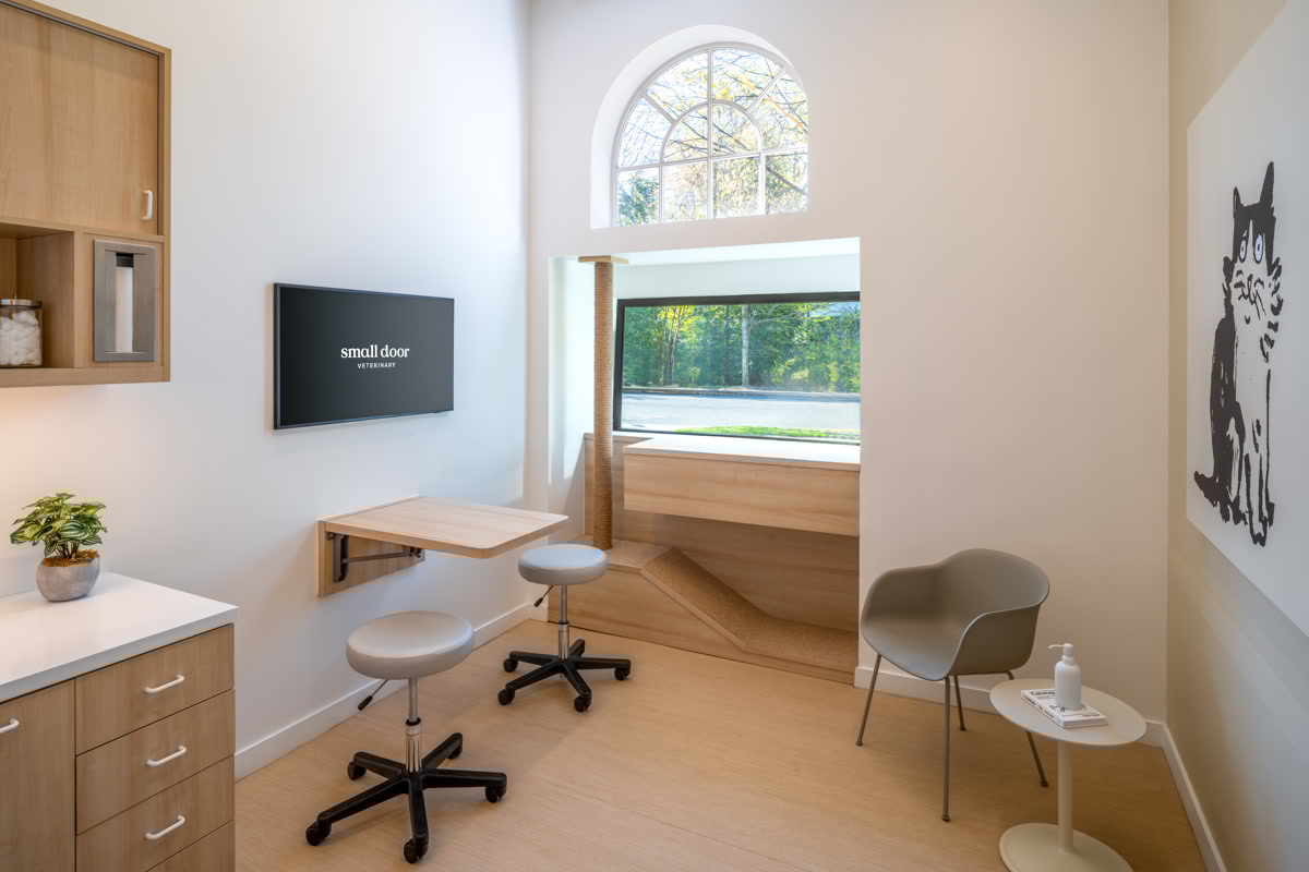Washington DC Vet Clinics Near Me | Small Door Veterinary | Small Door ...
