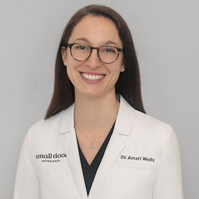 Our Team of Veterinary Experts | Small Door Veterinary