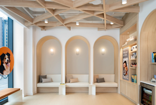 Navy Yard Washington DC Vet Practice | Small Door Veterinary