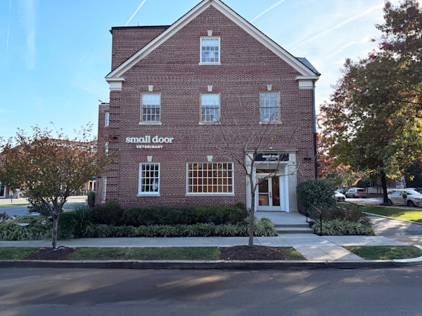 Washington DC Vet Clinics Near Me | Small Door Veterinary | Small Door ...