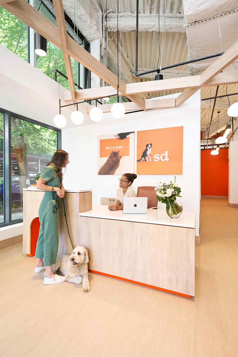 Spring Valley Washington DC Vet Practice | Small Door Veterinary