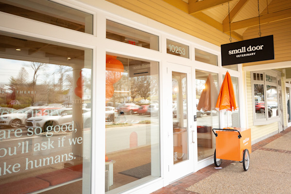 Washington DC Vet Clinics Near Me | Small Door Veterinary | Small Door ...