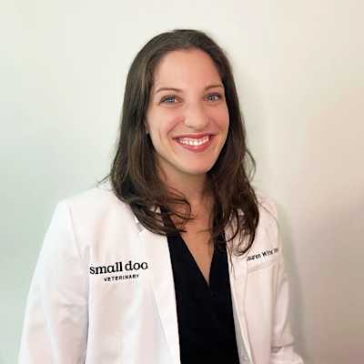 Our Team of Veterinary Experts | Small Door Veterinary