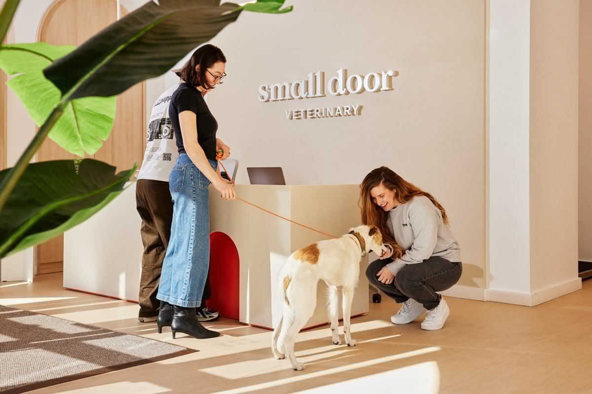Boston Vet Clinics Near Me | Small Door Veterinary | Small Door Veterinary