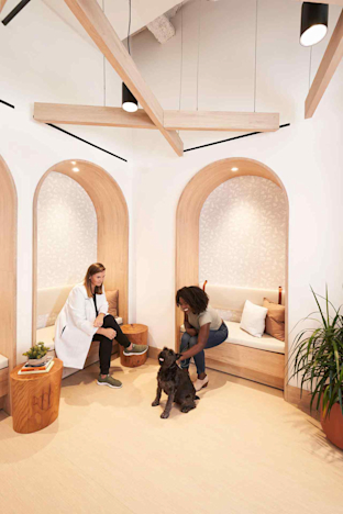 McLean Virginia Vet Practice | Small Door Veterinary