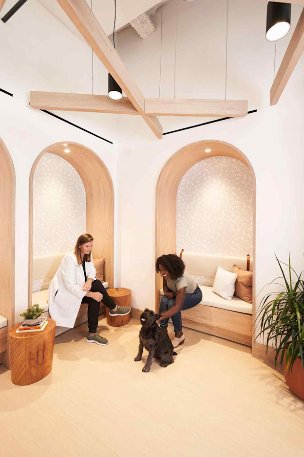McLean Virginia Vet Practice | Small Door Veterinary