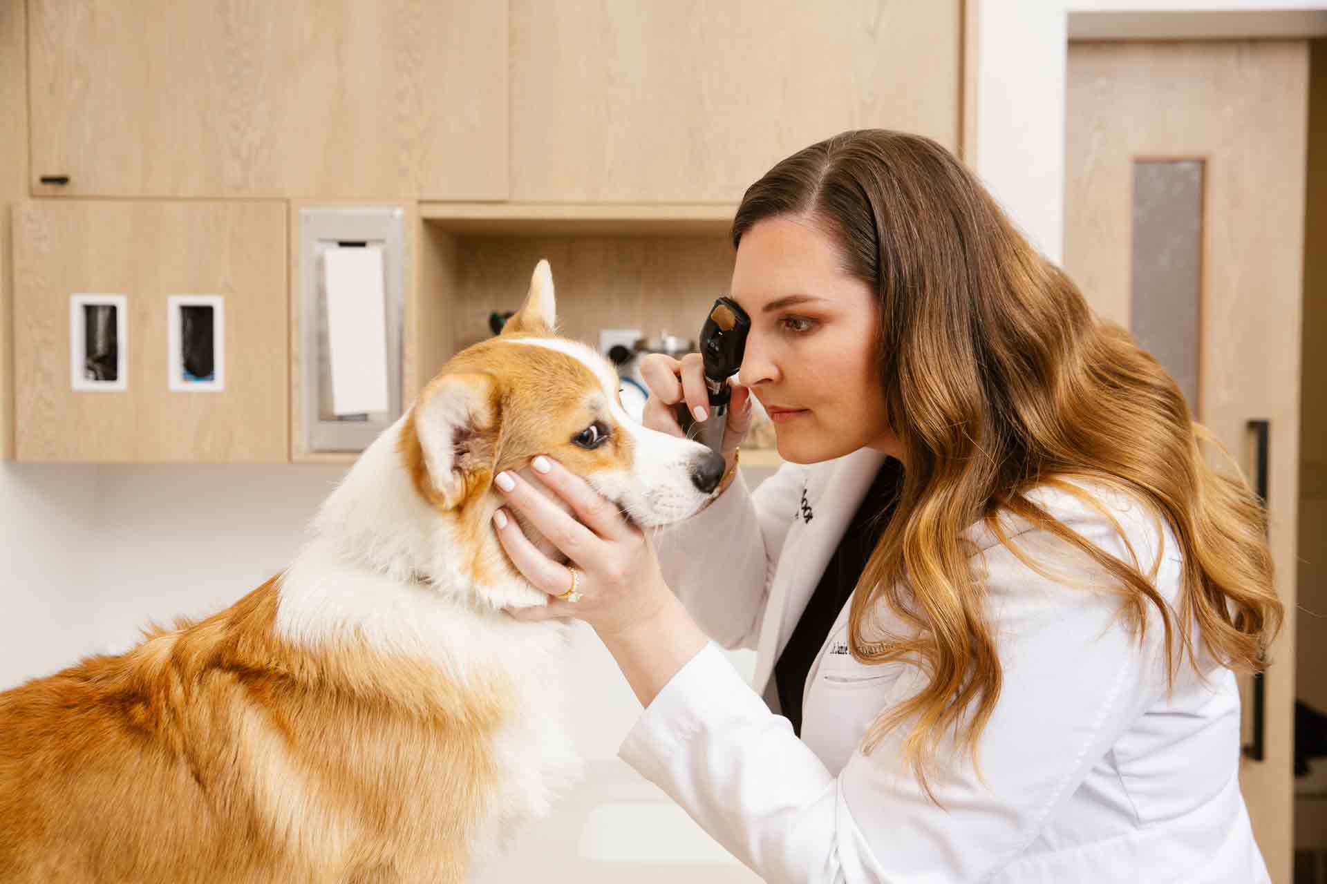 McLean Virginia Vet Practice | Small Door Veterinary