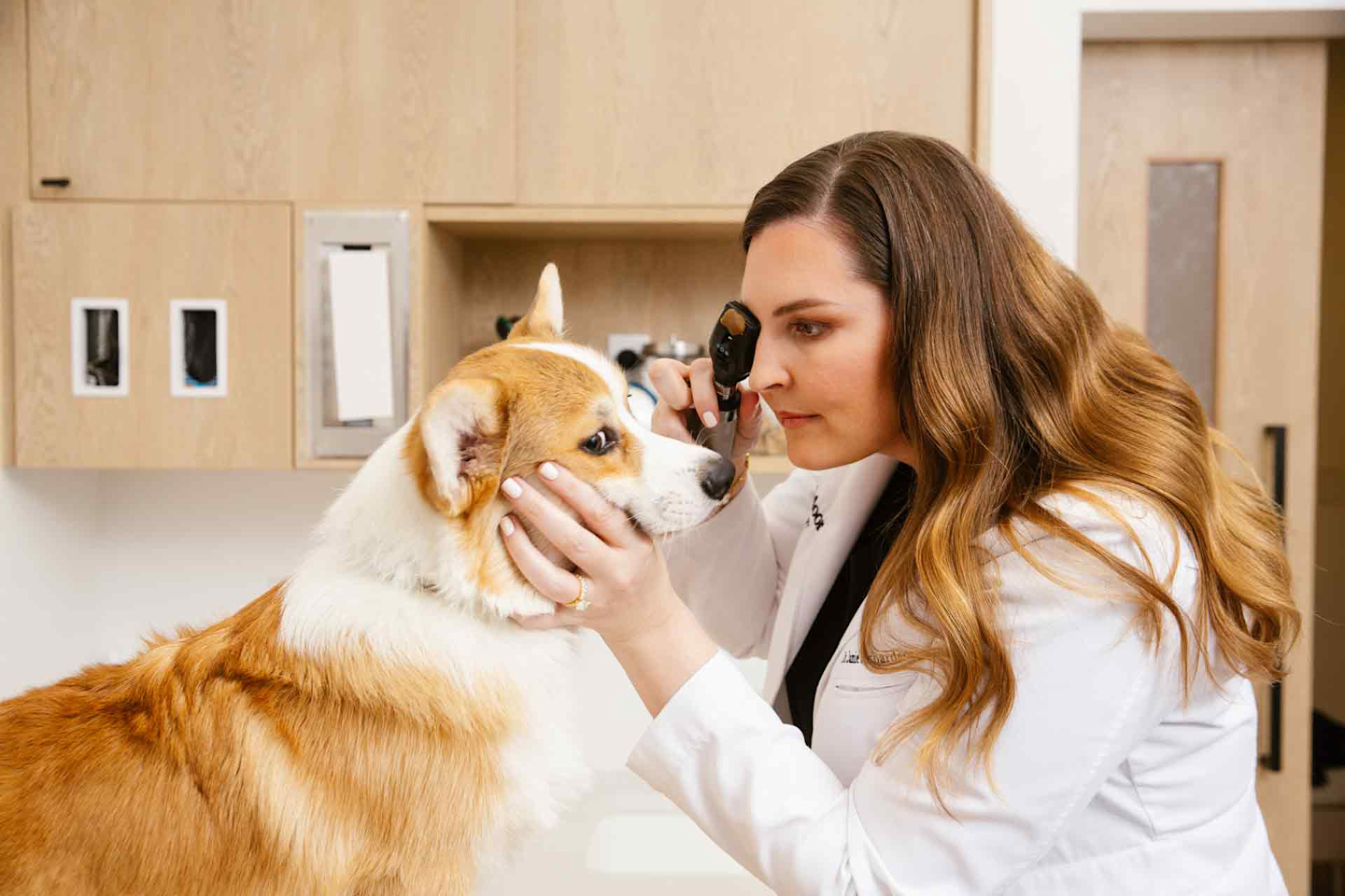 Bethesda Maryland Vet Practice | Small Door Veterinary