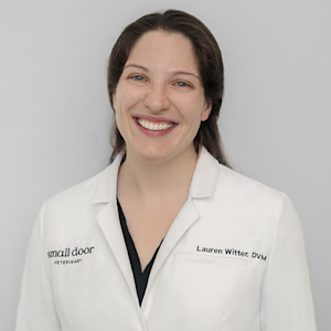 Our Team of Veterinary Experts | Small Door Veterinary