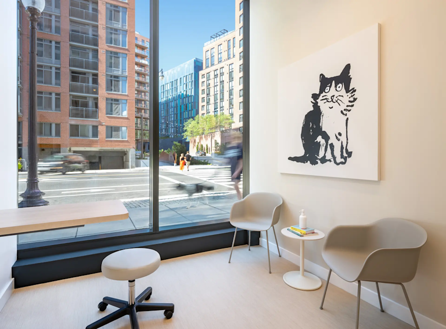 Navy Yard Washington DC Vet Practice | Small Door Veterinary