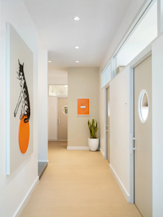 Navy Yard Washington DC Vet Practice | Small Door Veterinary