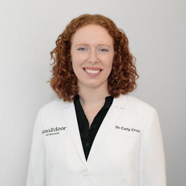 Dr. Carly Crcic (she/her), MVB | Small Door Veterinary
