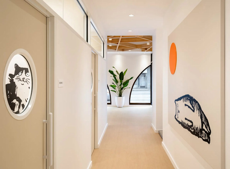 Boston Vet Clinics Near Me | Small Door Veterinary | Small Door Veterinary