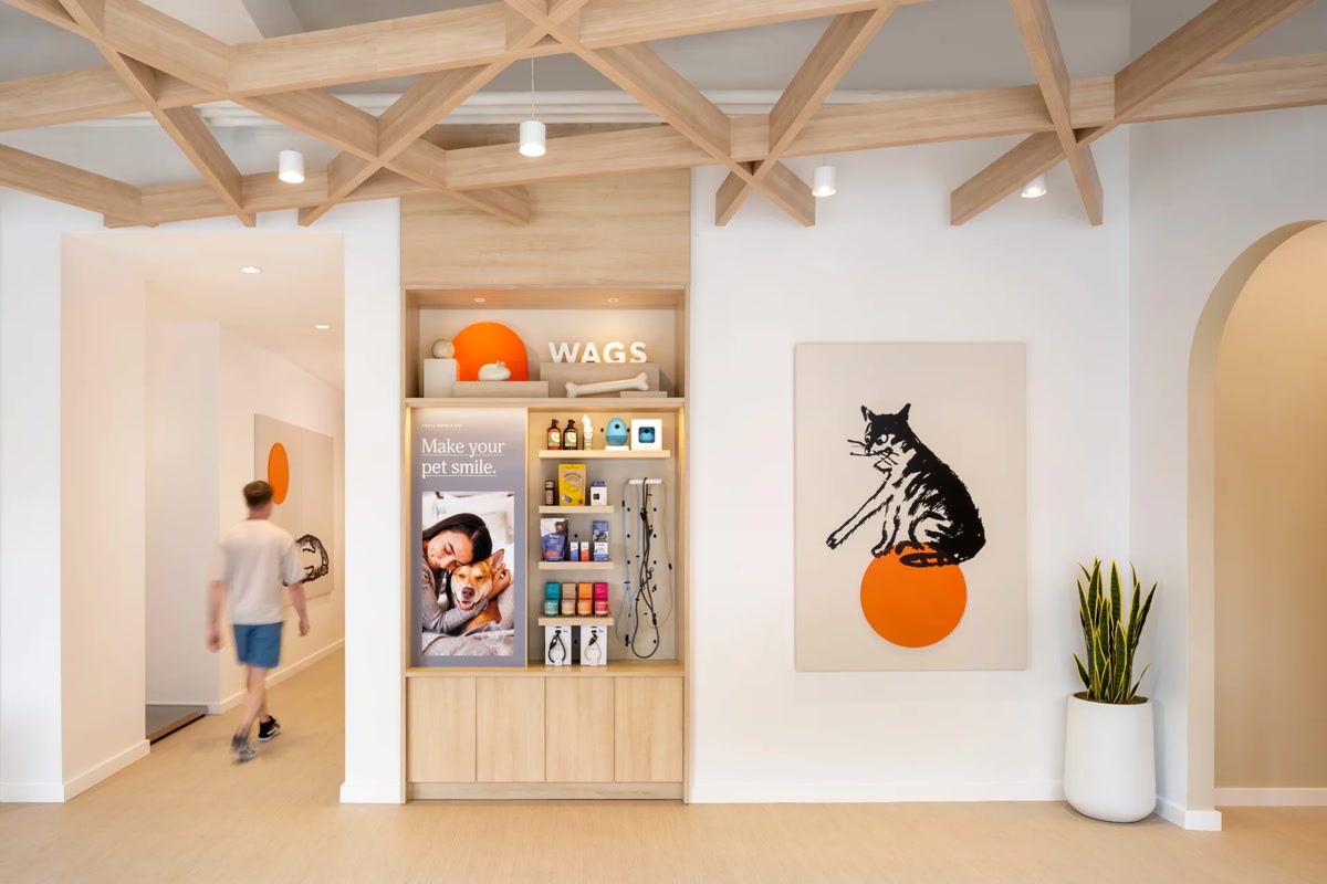 Boston Vet Clinics Near Me | Small Door Veterinary | Small Door Veterinary