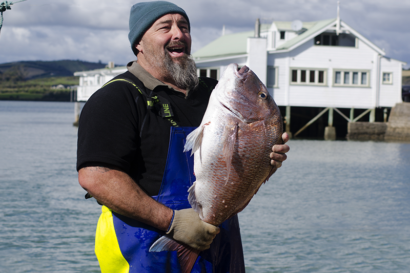 Spotlight: How America's Gleaned Seafood Helps Feed the Hungry | Swyft ...