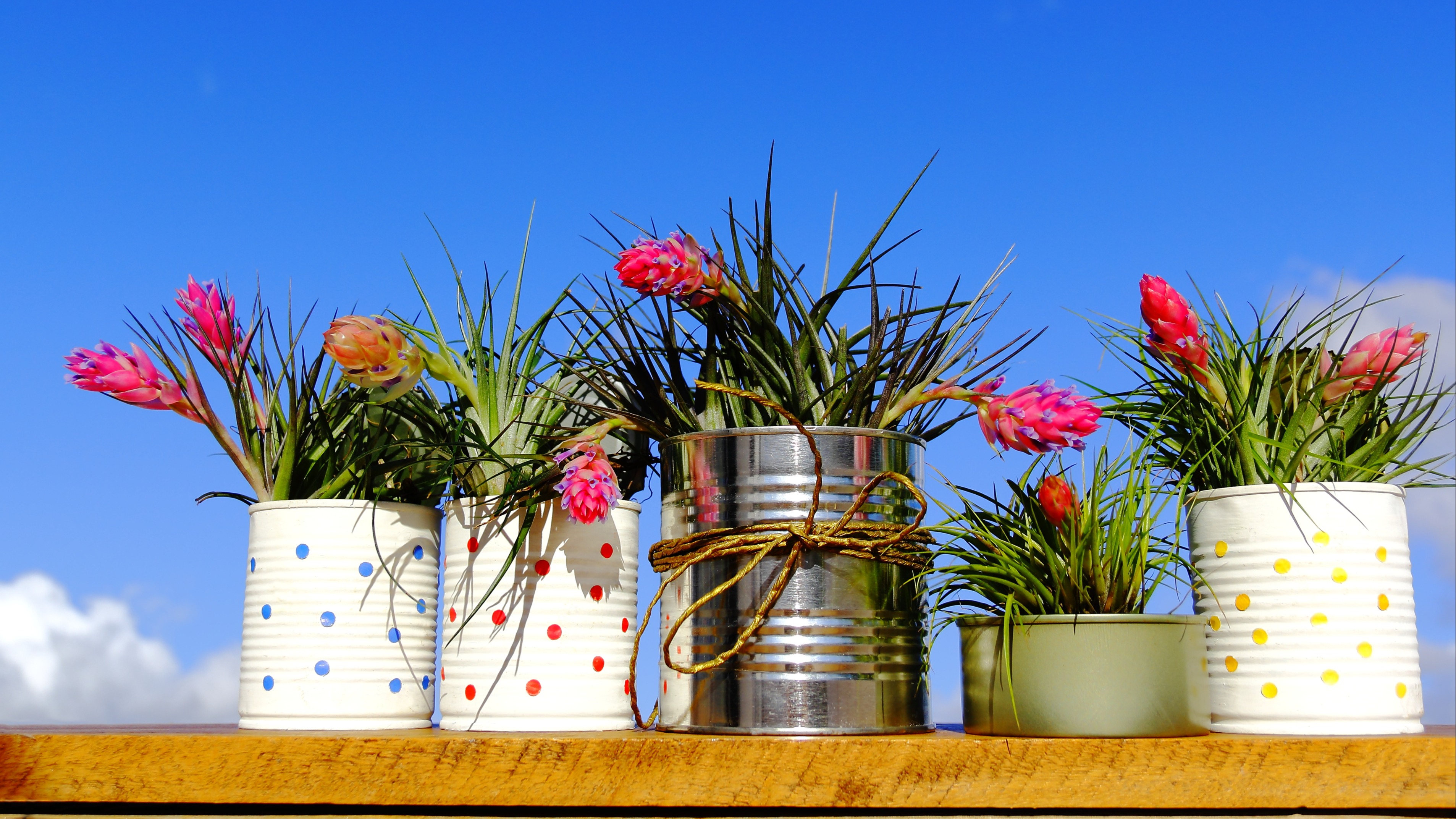 Crafts made out of recycled materials | MamasLatinas.com