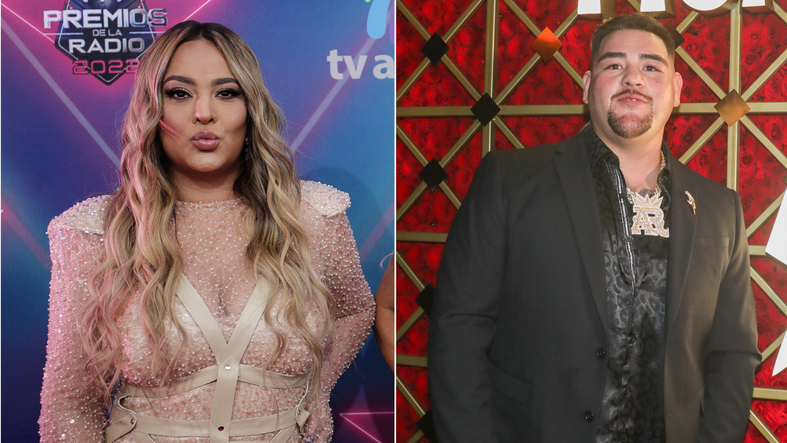 Mayeli Alonso y Andy Ruiz: Todo sobre su romance, acusaciones de ...