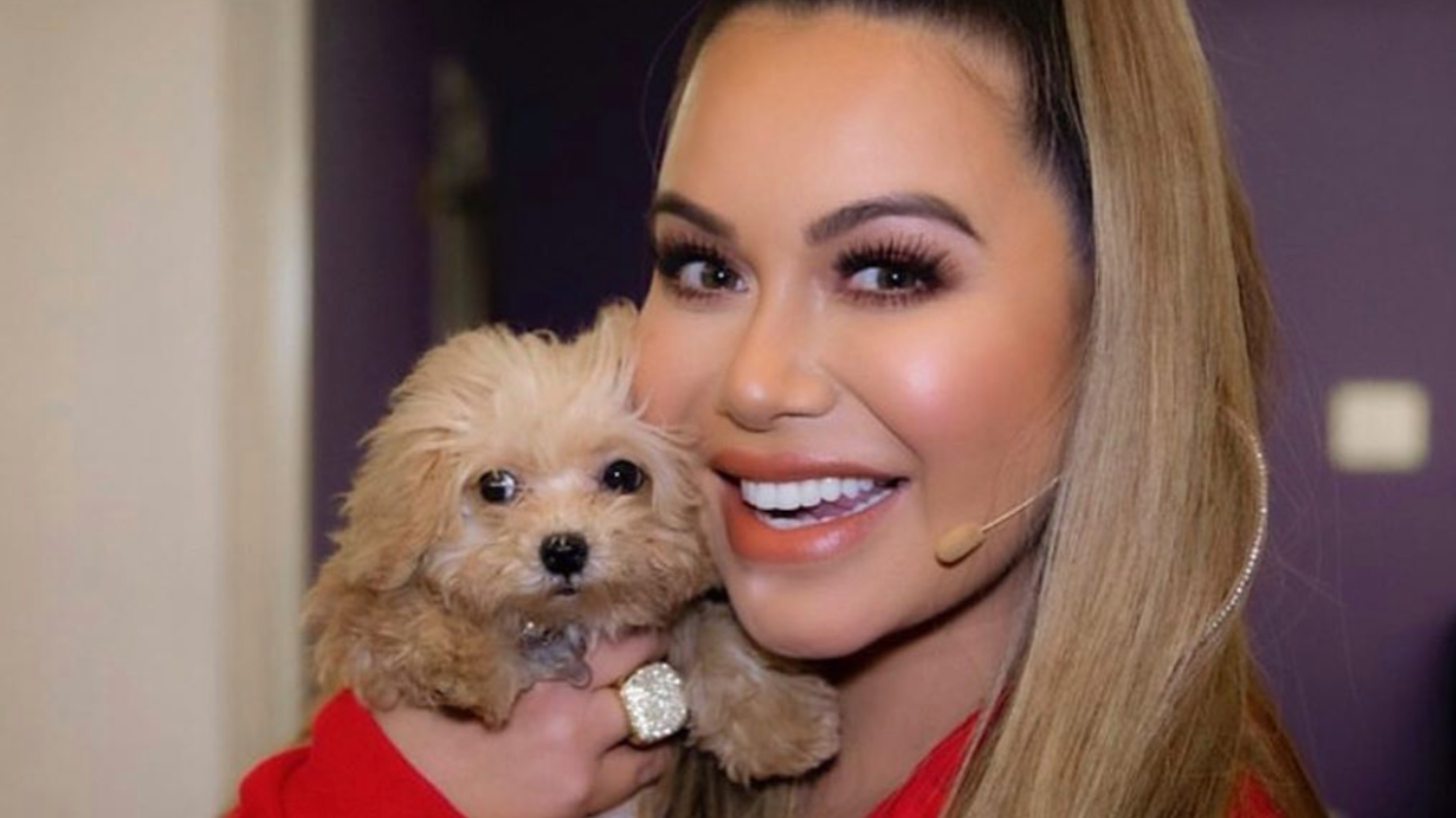 Celebs who have mourned the loss of their beloved dogs | MamasLatinas.com