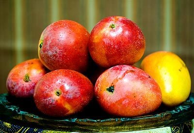 El mango es oro puro para tu salud | MamasLatinas.com