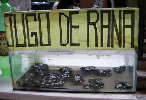 Green juice smoothie made from frogs is new health craze in Peru ...