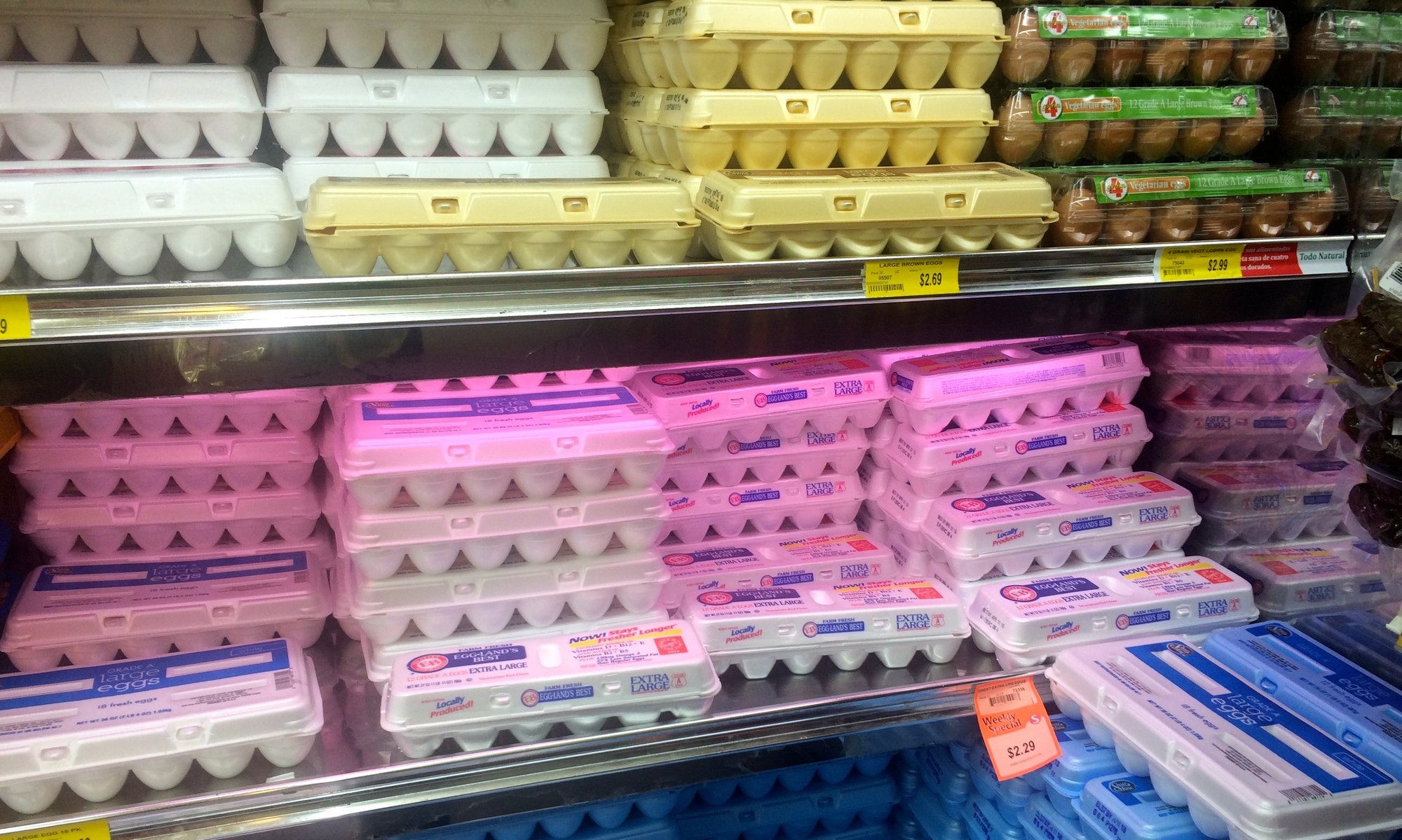 10 Tipos de huevos y en qué se diferencian | MamasLatinas.com