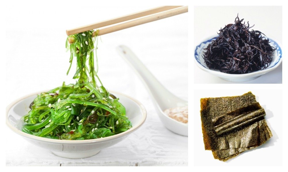Baja de peso comiendo algas marinas con estos 8 tips | MamasLatinas.com