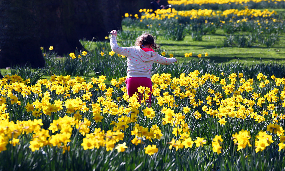 9 Actividades gratis para divertirte con tus niños durante la primavera ...