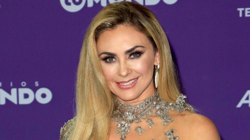 Así celebró Aracely Arámbula el cumpleaños de su hijo Miguel ...